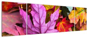 Obraz - podzimní listy (170x50 cm)