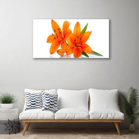 Obraz na plátně Oranžové Květiny 100x50 cm