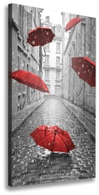 Wallmuralia Vertikální Foto obraz na plátně Deštník Francie 50x100