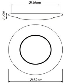 Globo 48311-24 - LED Stropní svítidlo CANDIDA LED/24W/230V