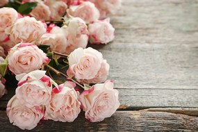 Samolepící fototapeta romantické růže - 150x100 cm