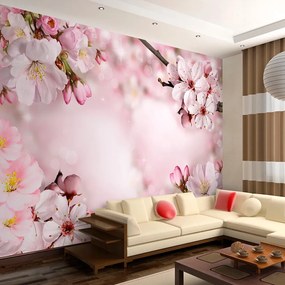 Fototapeta - Spring Cherry Blossom