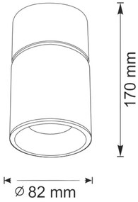 Bodové svítidlo NIXA 1xGU10/10W/230V šedá