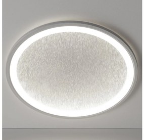 Brilliant - LED Stmívatelné stropní svítidlo TANIDA LED/31W/230V 3000-6500K + DO