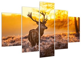 Obraz jelena (150x105 cm)
