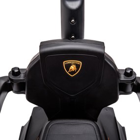 AIYAPLAY 2-v-1 Lamborghini Essenza SCV12 Dětské Odpojovací Auto 12-36 Měsíců S Tlačítkem A Odnímatelnou Rukojetí 86.5x40x89.5 cm Oranžové a Černé