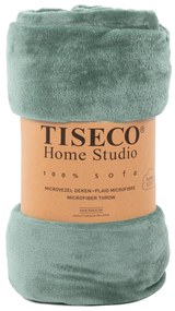 TISECO Pléd COSY mikroplyš 150 x 200 cm šalvějový
