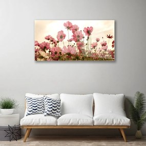 Obraz na skle Polní Květiny Louka Příroda 140x70 cm