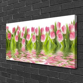 Obraz na plátně Tulipány Rostlina Příroda 100x50 cm