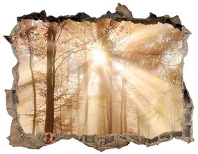 Wallmuralia Díra 3D ve zdi nálepka Mlha v lese podzim 95x64 cm