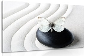 Obraz bílý motýl na černém kameni - 120x80 cm