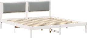 Rám postele Světle šedá 200 x 200 cm Masivní borové dřevo 3394232