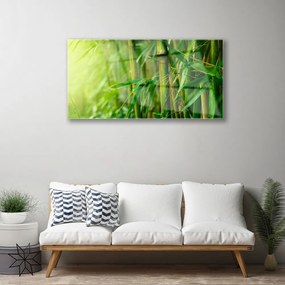 Obraz na skle Bambus Stonky Rostlina 100x50 cm