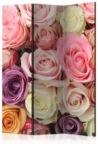 Artgeist Paraván - Pastel roses [Room Dividers] Velikosti (šířkaxvýška): 135x172