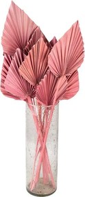 Růžová kytice sušené palmové listy - 55 cm (12ks)