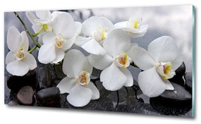 Wallmuralia Foto obraz skleněný horizontální Orchidej 100x50