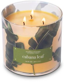 Colonial Candle svíčka Tropical Cabana Leaf, 411 g
