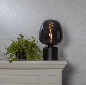 Teplá LED dekorativní žárovka E27, 2 W Black Apple – Star Trading