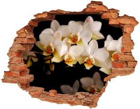 Wallmuralia Nálepka fototapeta 3D výhled Orchidej 90x70 cm