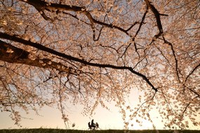 Umělecká fotografie Way Back, Takanobu　Kano, (40 x 26.7 cm)