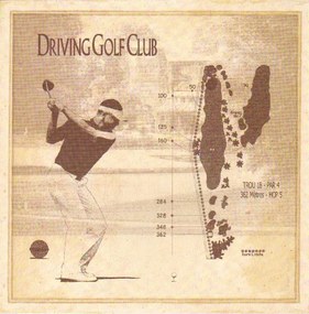 ART-STYLE Obrázek 30x30, golf driving, rám sv. dub - červotoč