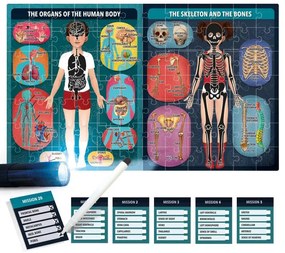 HEADU: Lidské tělo pod rentgenem