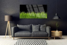 Plexisklo-obraz Zelená Tráva Příroda 120x60 cm