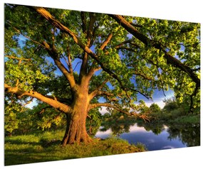 Obraz  stromu u jezera (120x80 cm)