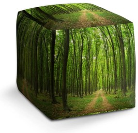 Sablio Taburet Cube Cesta v lese: 40x40x40 cm