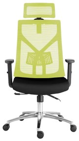 Kancelářská židle NEOSEAT DIBERTI černo-zelená