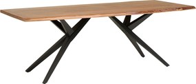 XXXLutz JÍDELNÍ STŮL, akácie, černá, barvy vlašských ořechů, 220/100/76 cm P & B - Online Only jídelní stoly - 001630031303