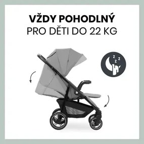 Hauck Sporťák Shop N Care Grey