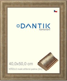 DANTIK rámeček 40x50 | KŘÍDLO malé stříbrné patina (Plexi Čiré)