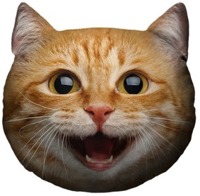 Kočičí hlava - Ginger (Velikost kočičí hlavy: L)