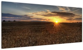 Západ slunce na poli - obraz na stěnu (100x40cm)