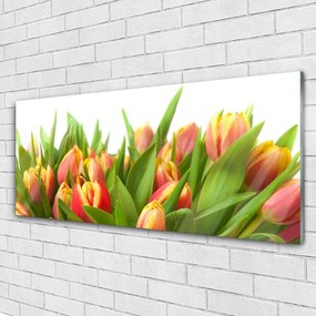 akrylový obraz Tulipány Květiny Rostlina 125x50 cm