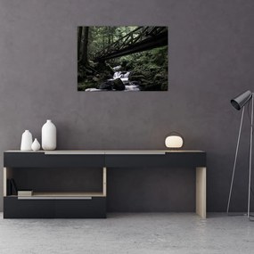 Skleněný obraz z černého lesa (70x50 cm)