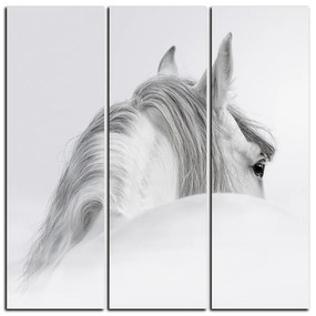 Obraz na plátně - Andaluský kůň v mlze - čtverec 3219B (105x105 cm)