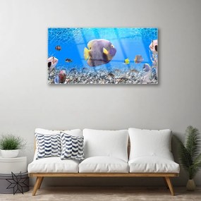 Obraz na skle Ryba Příroda 100x50 cm