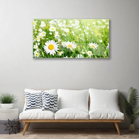 akrylový obraz Sedmikráska Květ Rostlina 100x50 cm
