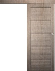 posuvné interiérové dveře na stěnu vasco doors SANTIAGO plné, model 1 Průchozí rozměr: 70 x 197 cm, Orientace dveří: Levé dveře, Dekor: Dub Aljaška