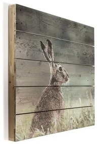 Dřevotisk Zajíc 102506, Hare Print On Wood, Wall Art