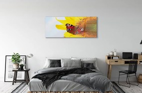 akrylový obraz slunečnice motýl 120x60 cm