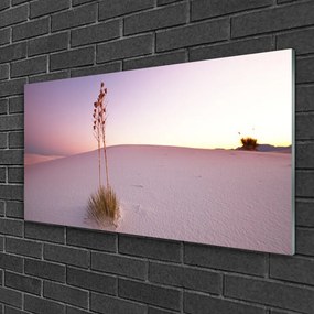 Obraz na skle Poušť Písek Krajina 120x60 cm