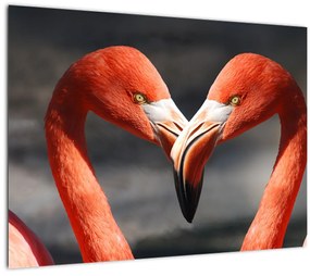 Skleněný obraz dvou zamilovaných plameňáků (70x50 cm)
