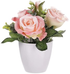 Růžičky v plastovém bílém obalu, barva růžová SG7335 PINK