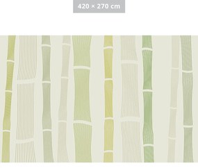 obrazová tapeta bambus Velikost: 420 × 270 cm