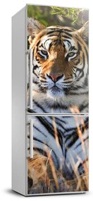 Wallmuralia Nálepka fototapeta lednička Tygr 60x180 cm