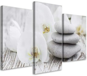 Gario Obraz na plátně Bílá orchidej a kameny - 3 dílný Rozměry: 60 x 40 cm