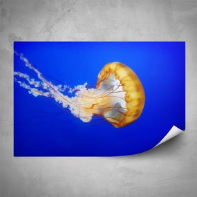 Plakát - Medúza (60x40 cm) - PopyDesign